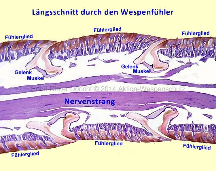 Mit Gefuehl